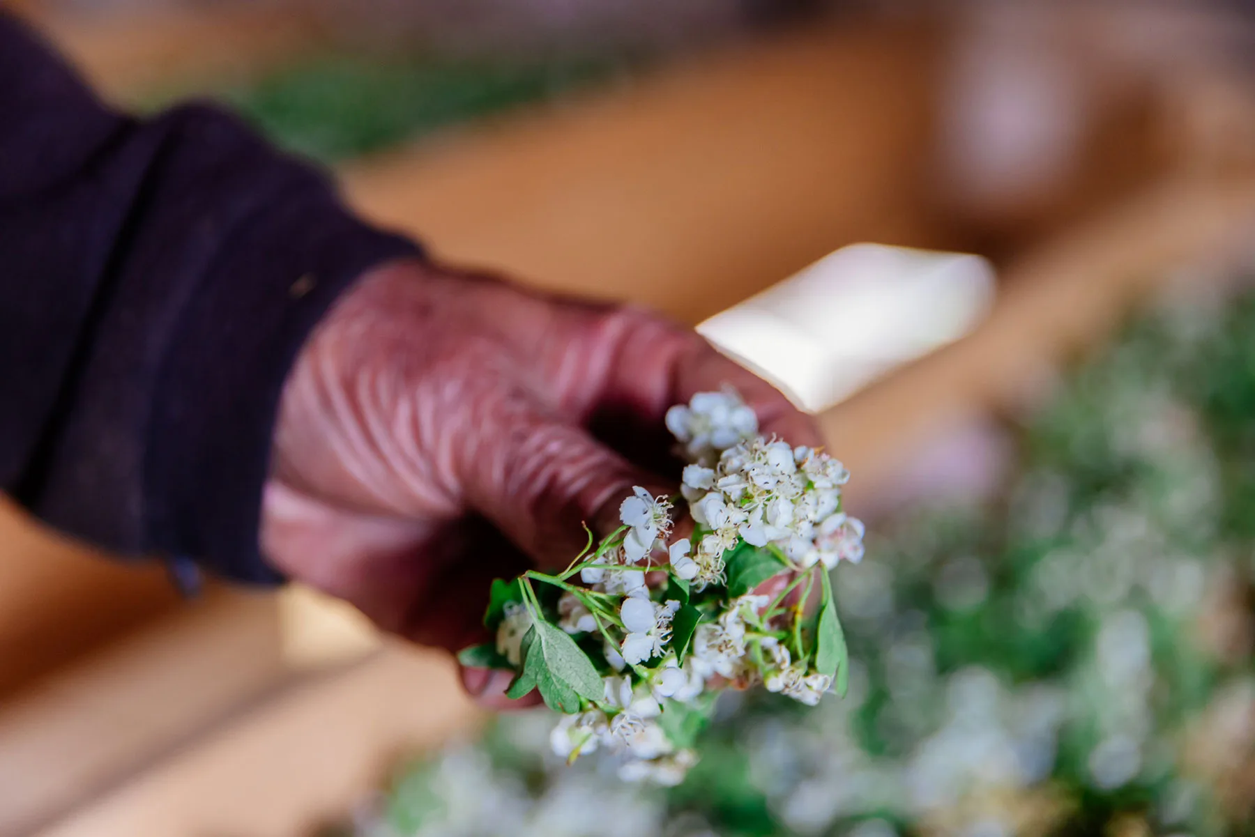The Jammes Gardens in Villeneuve | Aveyron